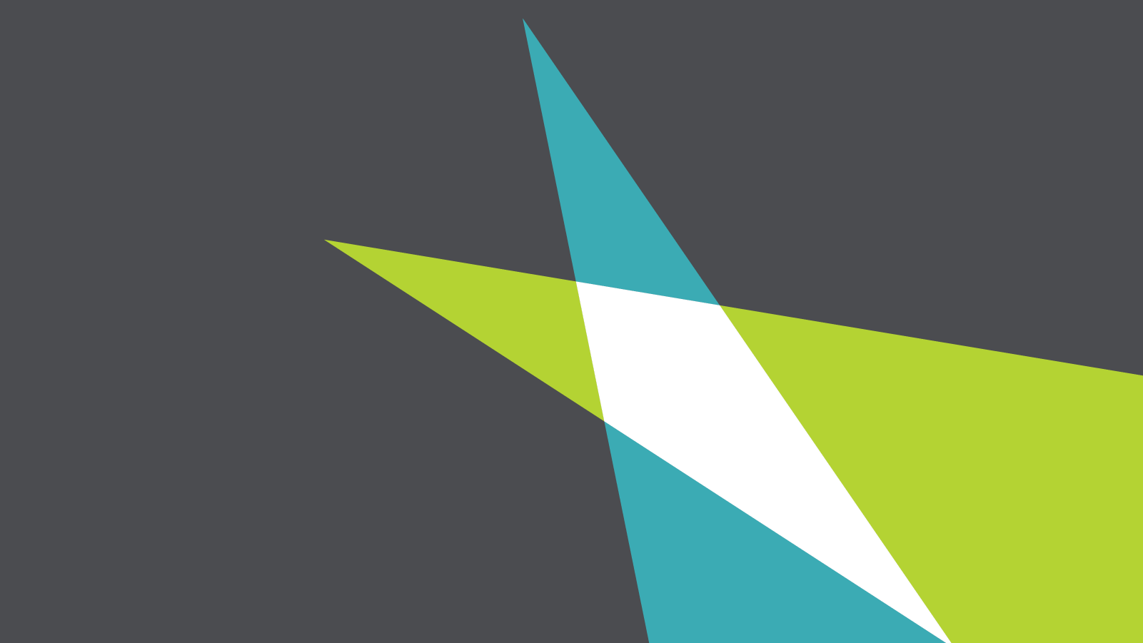 Oversight Systems Names New CEO